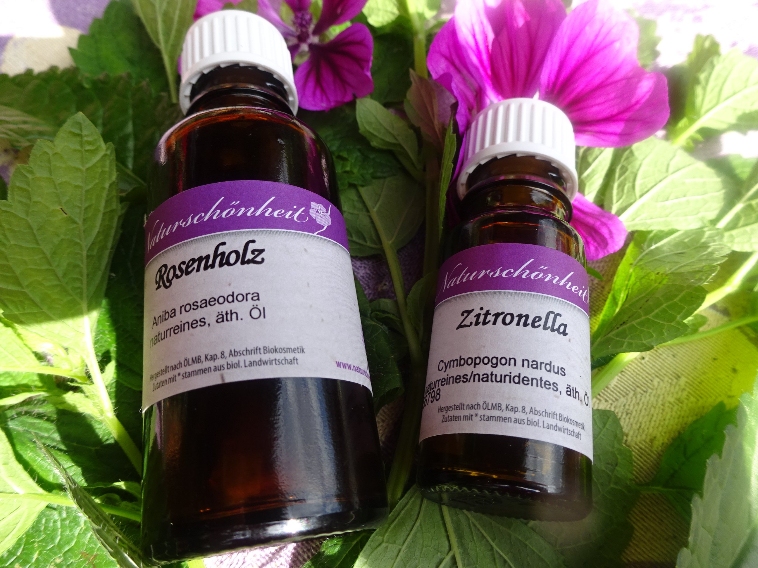 Zitrone, Citrus limon, extra, Bio, Italien, kba | Naturschönheit