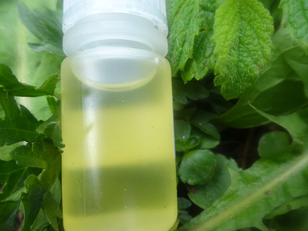 Handöl | Rezept der Woche | REZEPTE | Naturschönheit